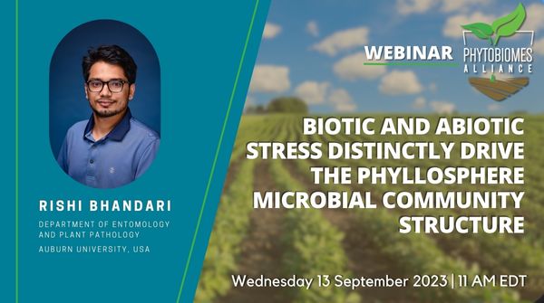 Biotic and abiotic stress distinctly drive the phyllosphere microbial ...
